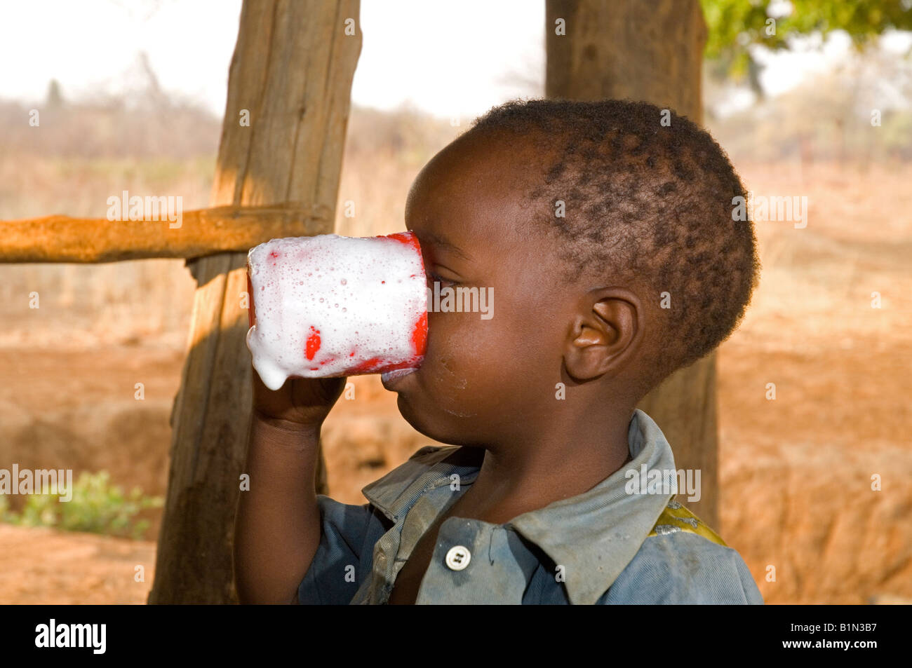 Boy drinking fresh milk from a cup, Magoye, Zambia Stock Photo - Alamy
