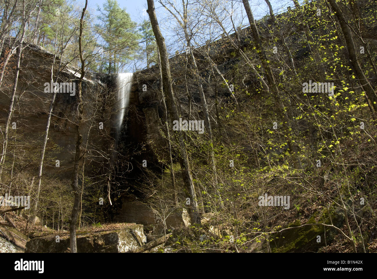 Kings Bluff Falls in the Ozark National Forest is one of the tallest ...