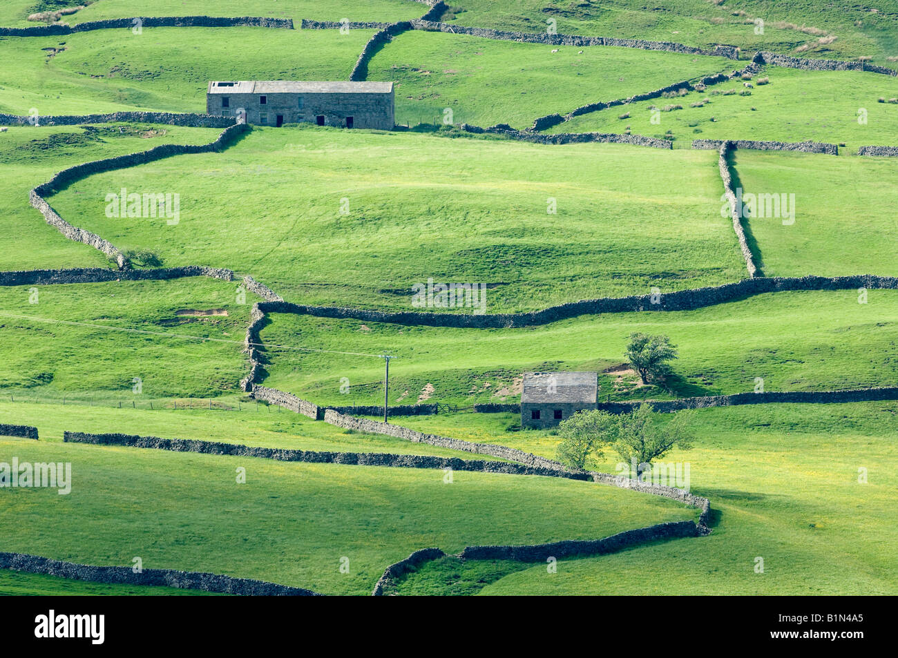 Low row swaledale yorkshire dales hi-res stock photography and images ...