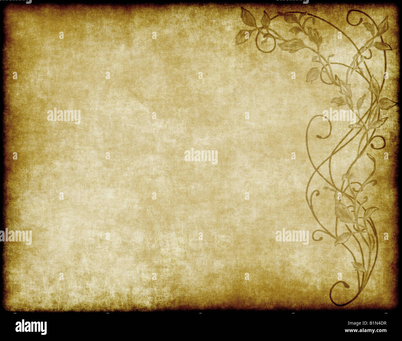 Parchment and canvas hi-res stock photography and images - Alamy