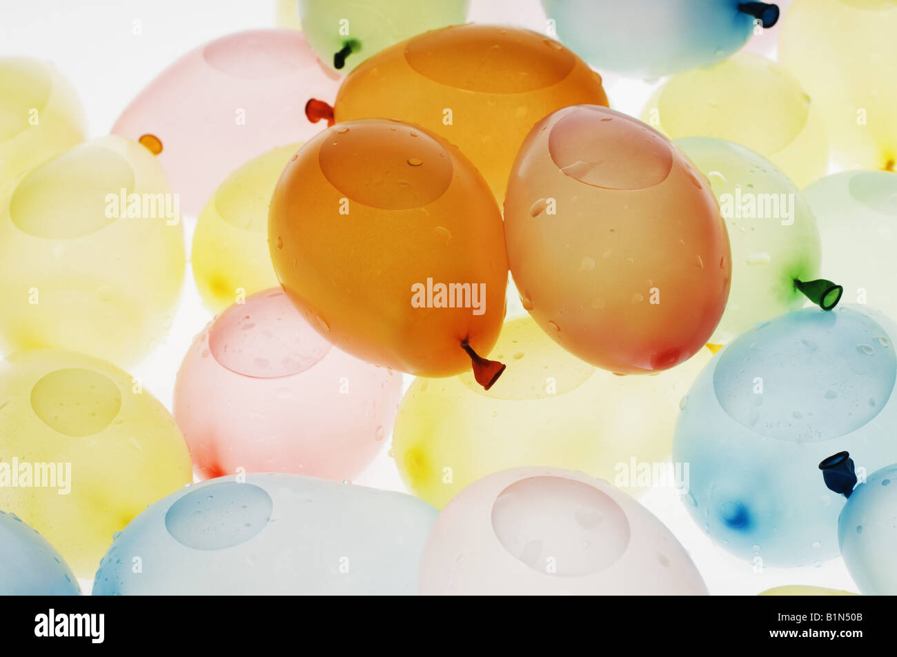 Gubbara hi-res stock photography and images - Alamy