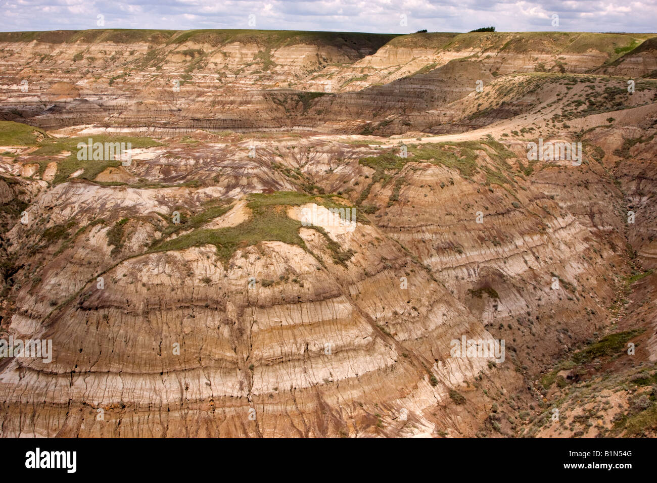 Royal tyrrell museum of paleontology hi-res stock photography and ...