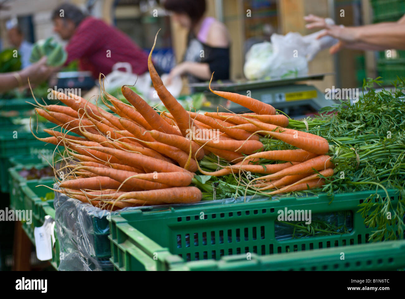 Carrots at the saturday fruit and vegetable market Stock Photo - Alamy