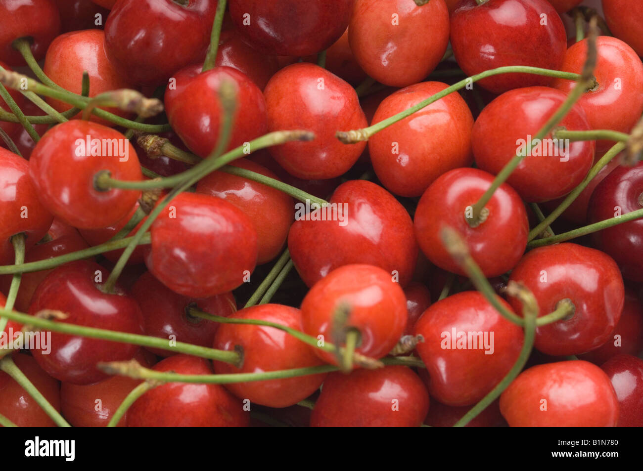 Close-up of cherries Stock Photo - Alamy
