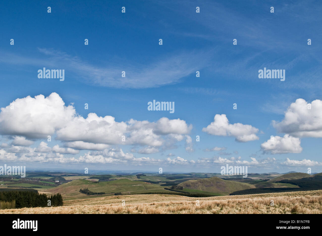 Scottish borders landscape hi-res stock photography and images - Alamy