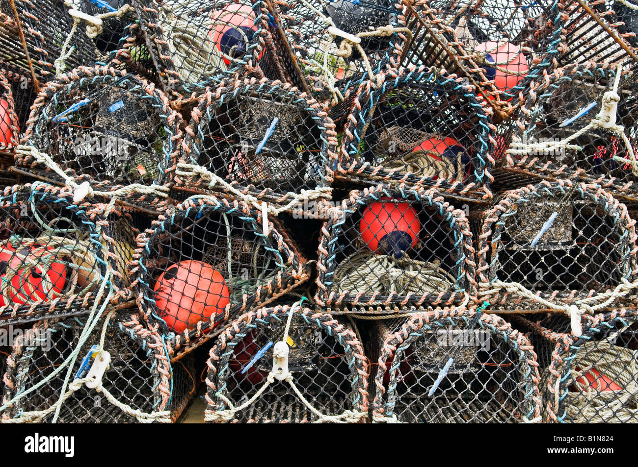 Stack of Lobster pots on Pier Stock Photo - Alamy