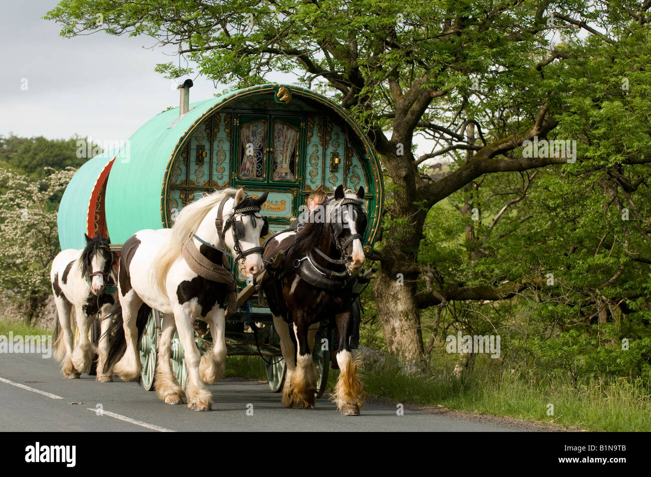 Horse Drawn Romany Gypsy Caravan High Resolution Stock Photography and ...
