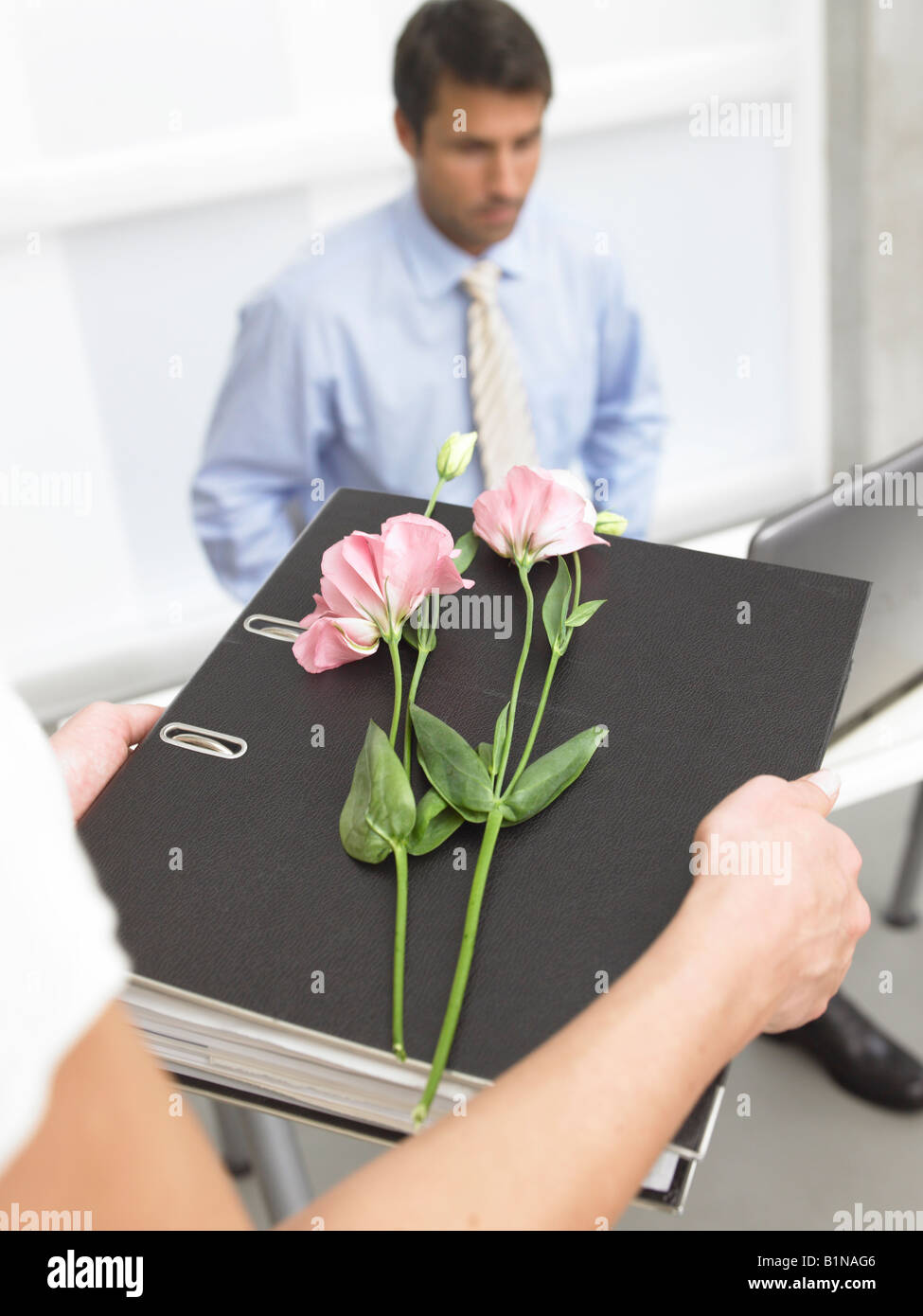 Rose on a file Stock Photo - Alamy