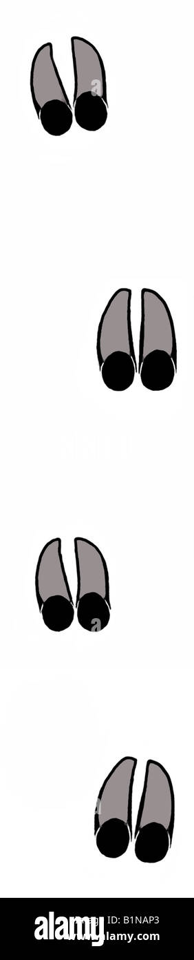 Ungulate feet Cut Out Stock Images & Pictures - Alamy