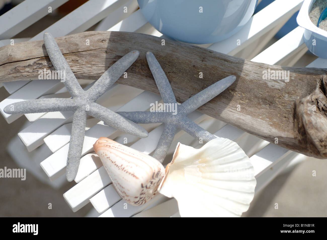 Flotsam: mussels and starfishes Stock Photo - Alamy