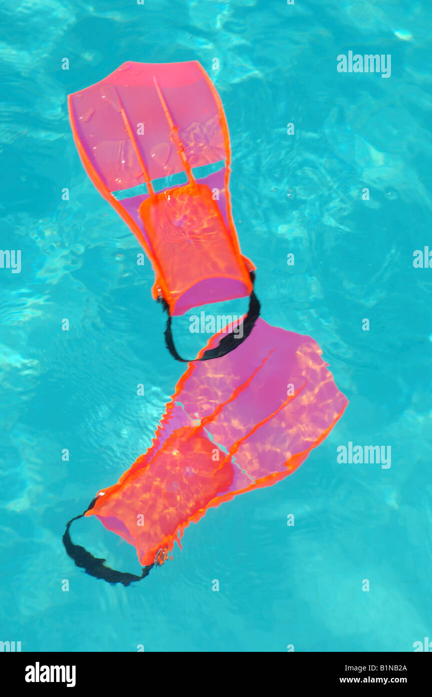 Flippers in the water Stock Photo - Alamy