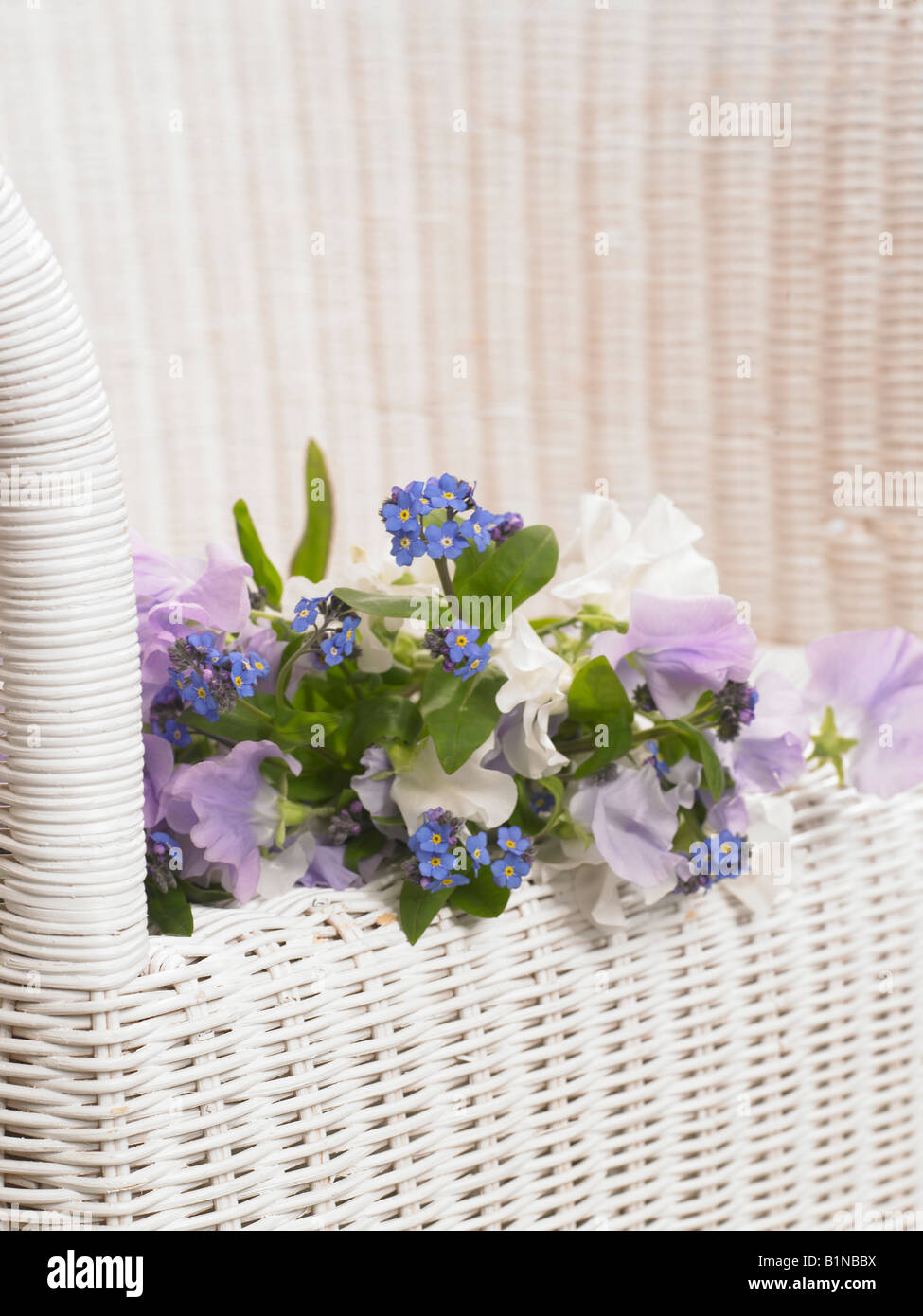 Bouquet of sweet pea and forget-me-not on a bench Stock Photo - Alamy