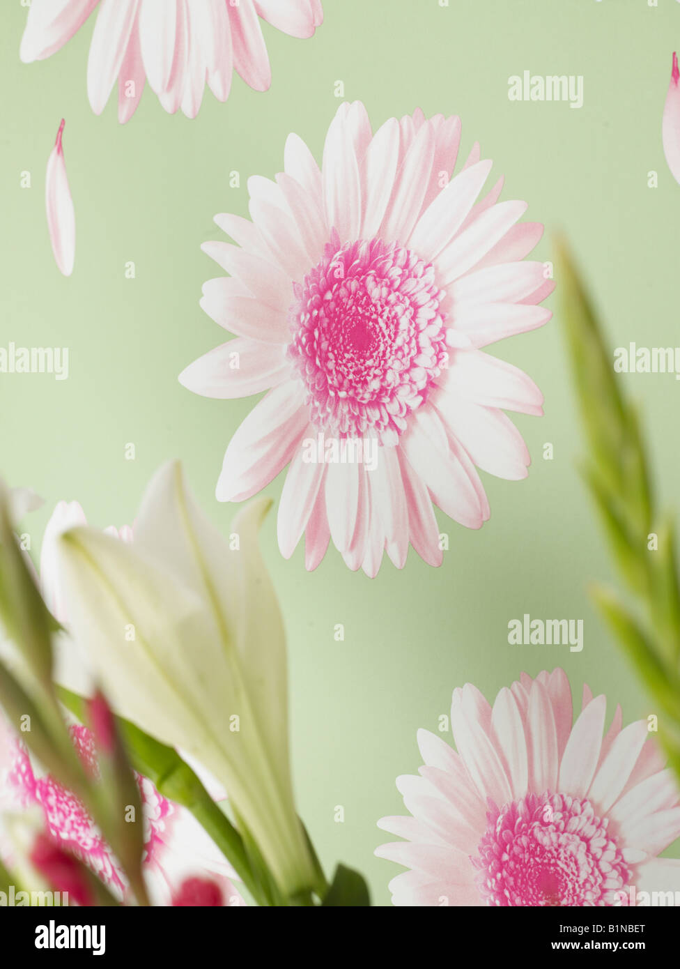 Flowery wallpaper hi-res stock photography and images - Alamy