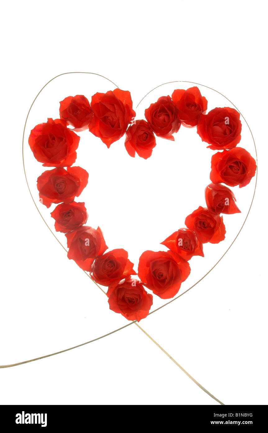Rose blossom heart Stock Photo - Alamy