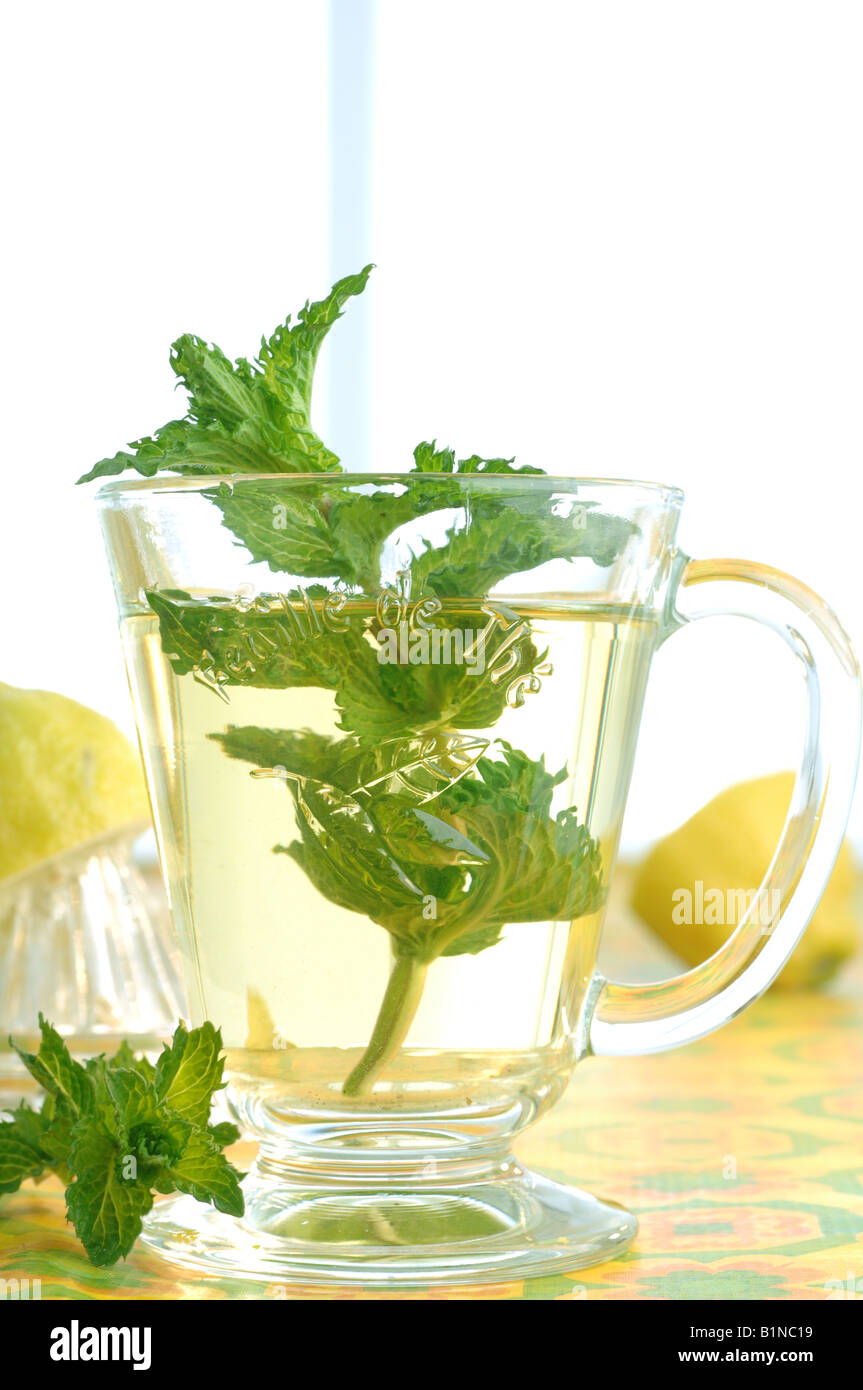 Peppermint teas hi-res stock photography and images - Alamy