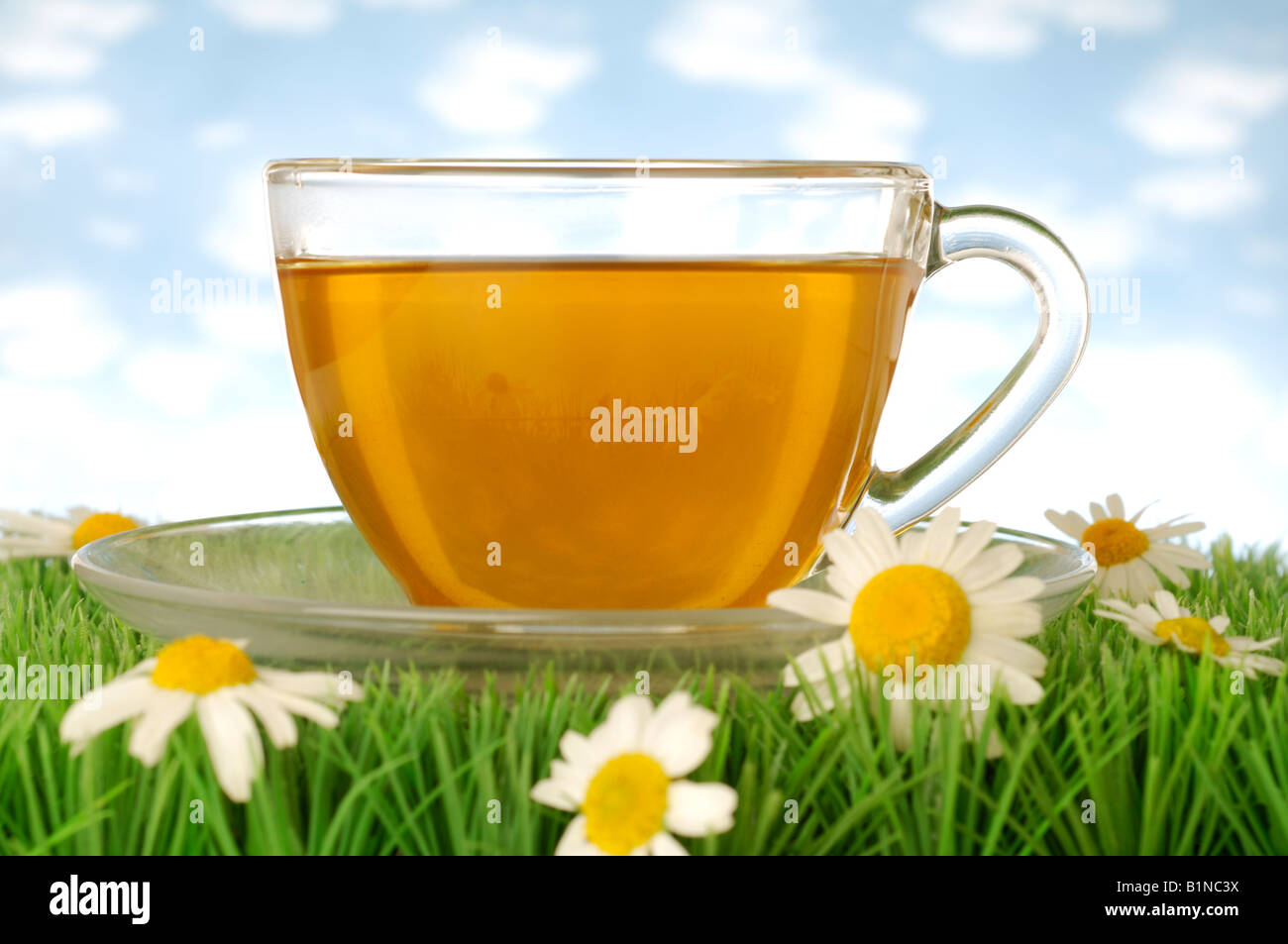 Cup of camomile tea Stock Photo - Alamy