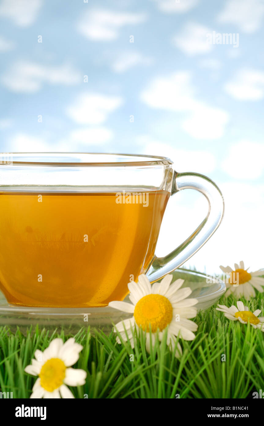 Cup of camomile tea Stock Photo - Alamy
