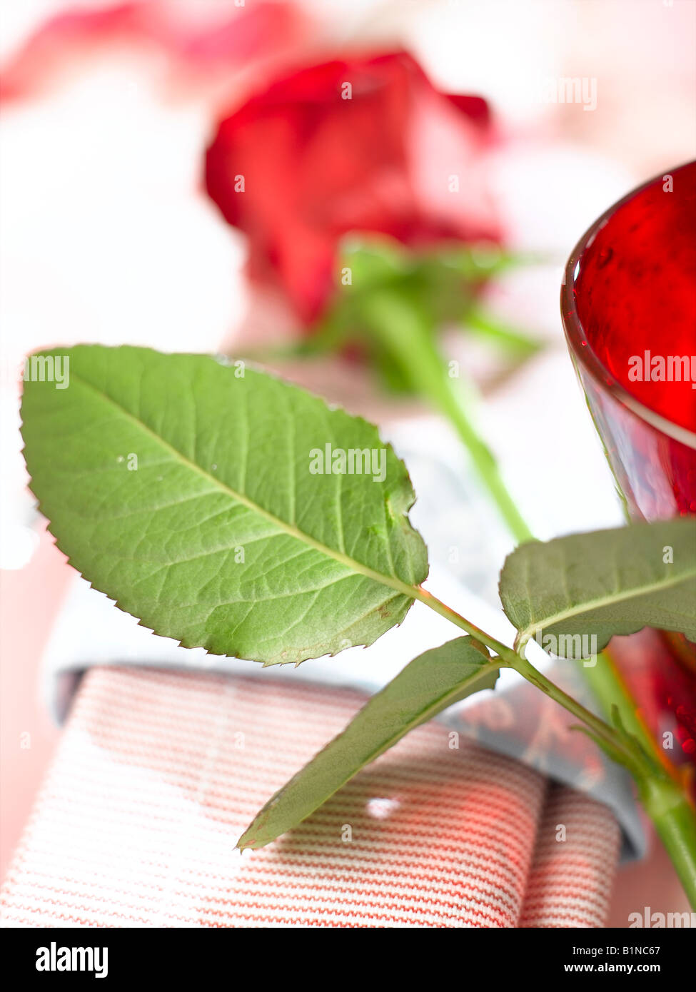 Rose napkin hi-res stock photography and images - Alamy