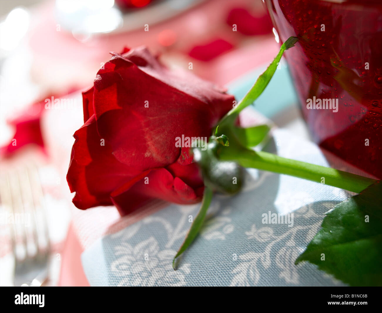 Red rose and a napkin Stock Photo - Alamy