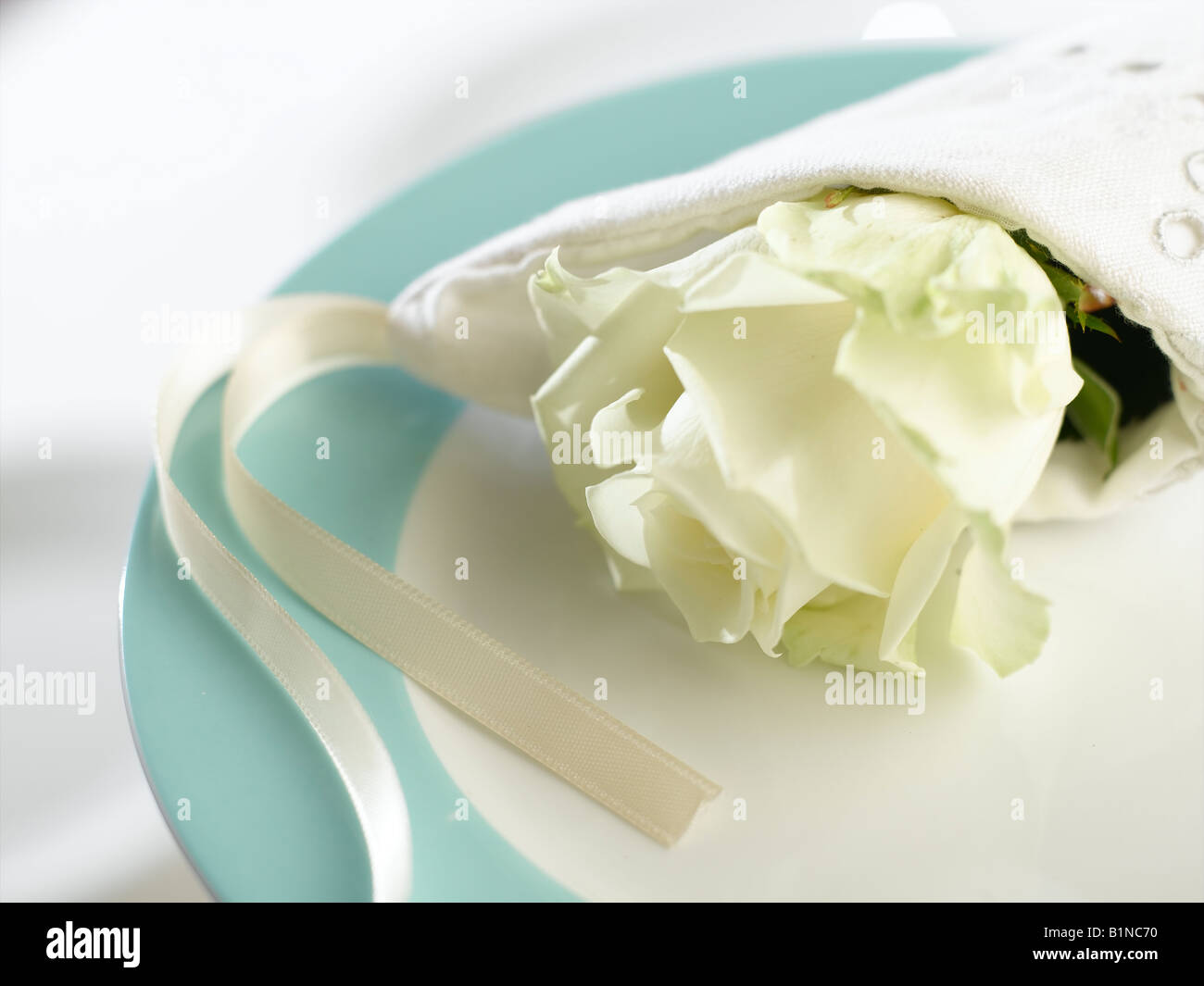White rose wrapped in a napkin Stock Photo - Alamy