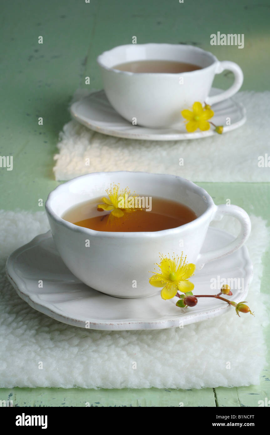 St John`s worth tea Stock Photo - Alamy