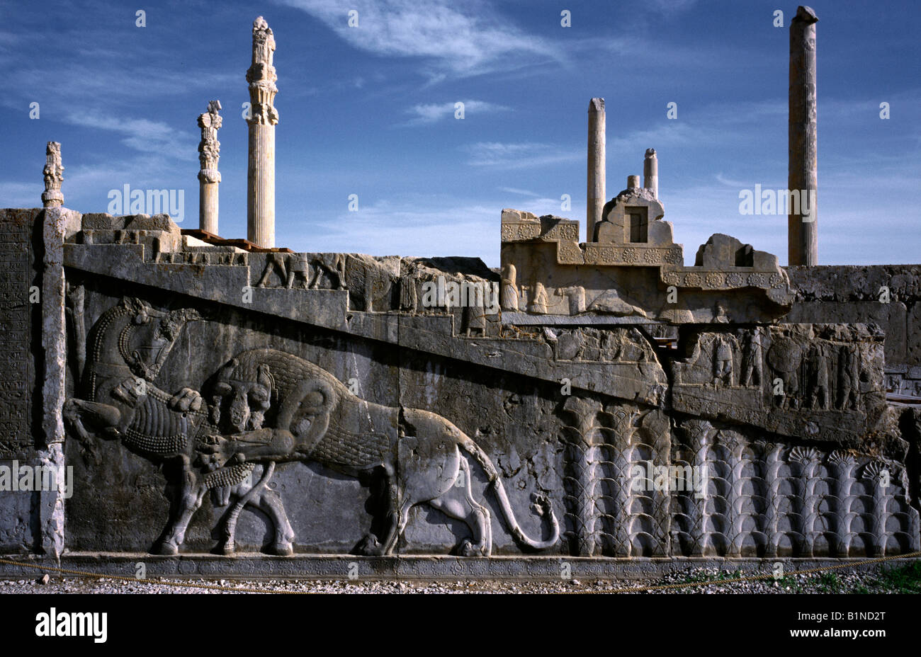 Bull lion stairs persepolis hi-res stock photography and images - Alamy