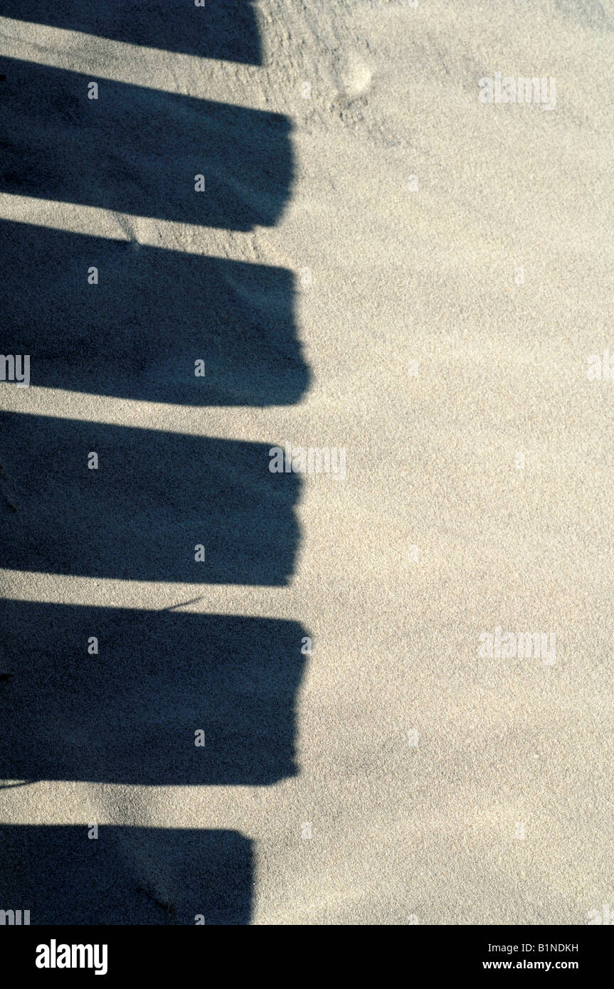 Shaddy hi-res stock photography and images - Alamy