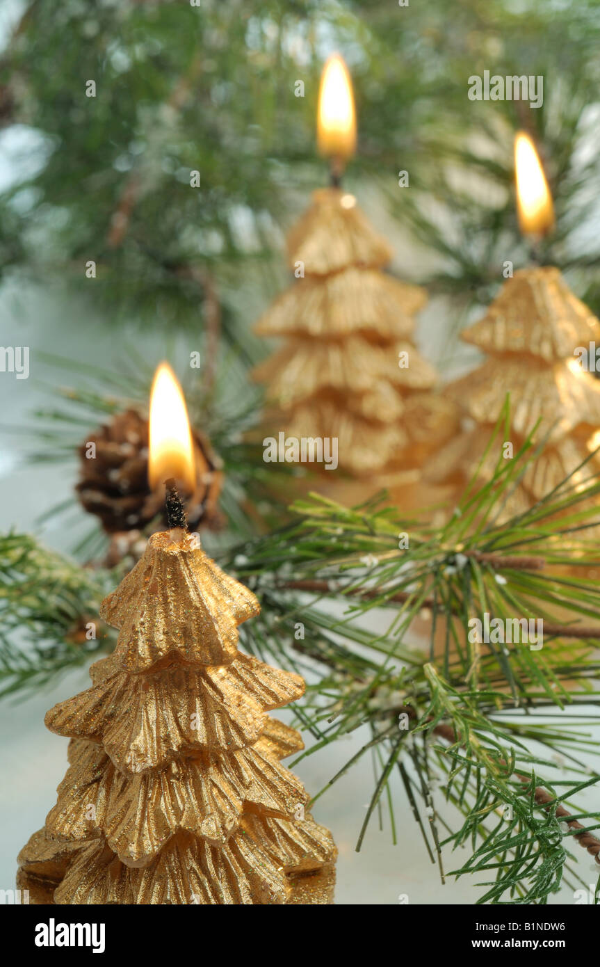 Golden Christmas tree shape candles Stock Photo - Alamy