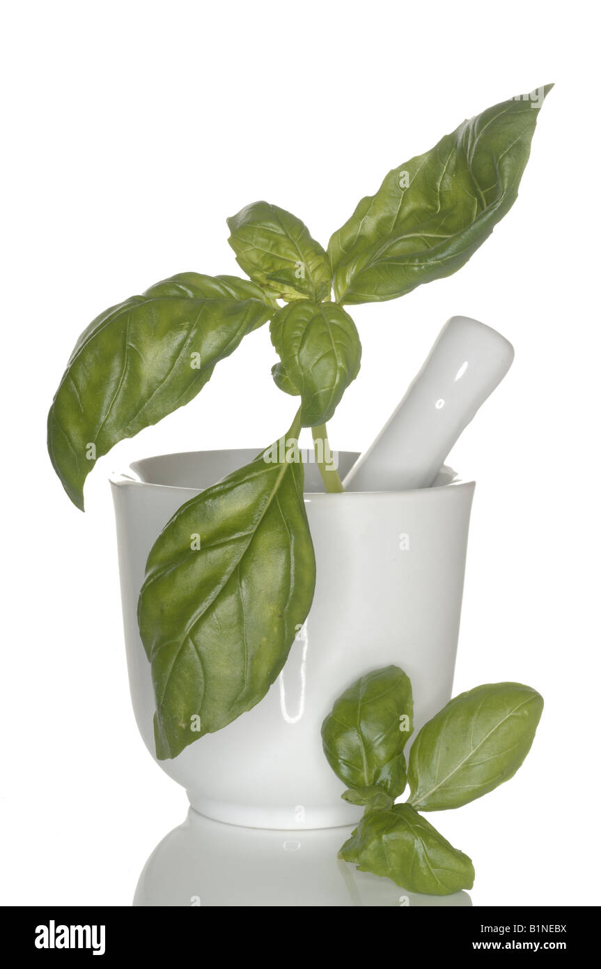 Badil hi-res stock photography and images - Alamy