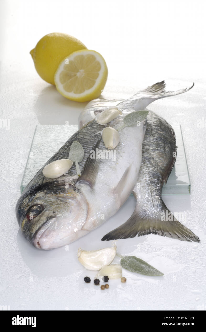 Giltheads hi-res stock photography and images - Alamy