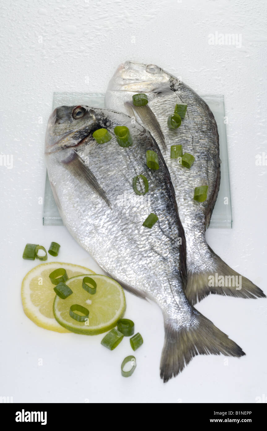 Giltheads hi-res stock photography and images - Alamy