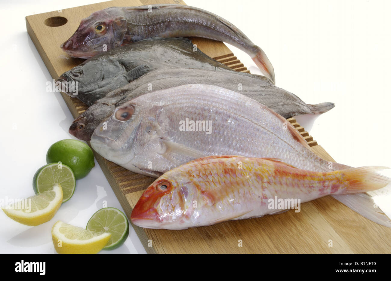 Several kinds of fish Stock Photo - Alamy