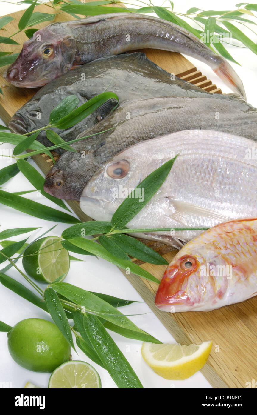 Several kinds of fish Stock Photo - Alamy