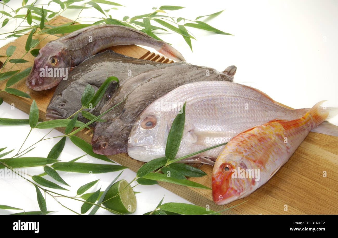 Several kinds of fish Stock Photo - Alamy