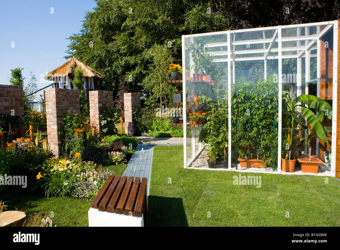 Growing Square Tomatoes