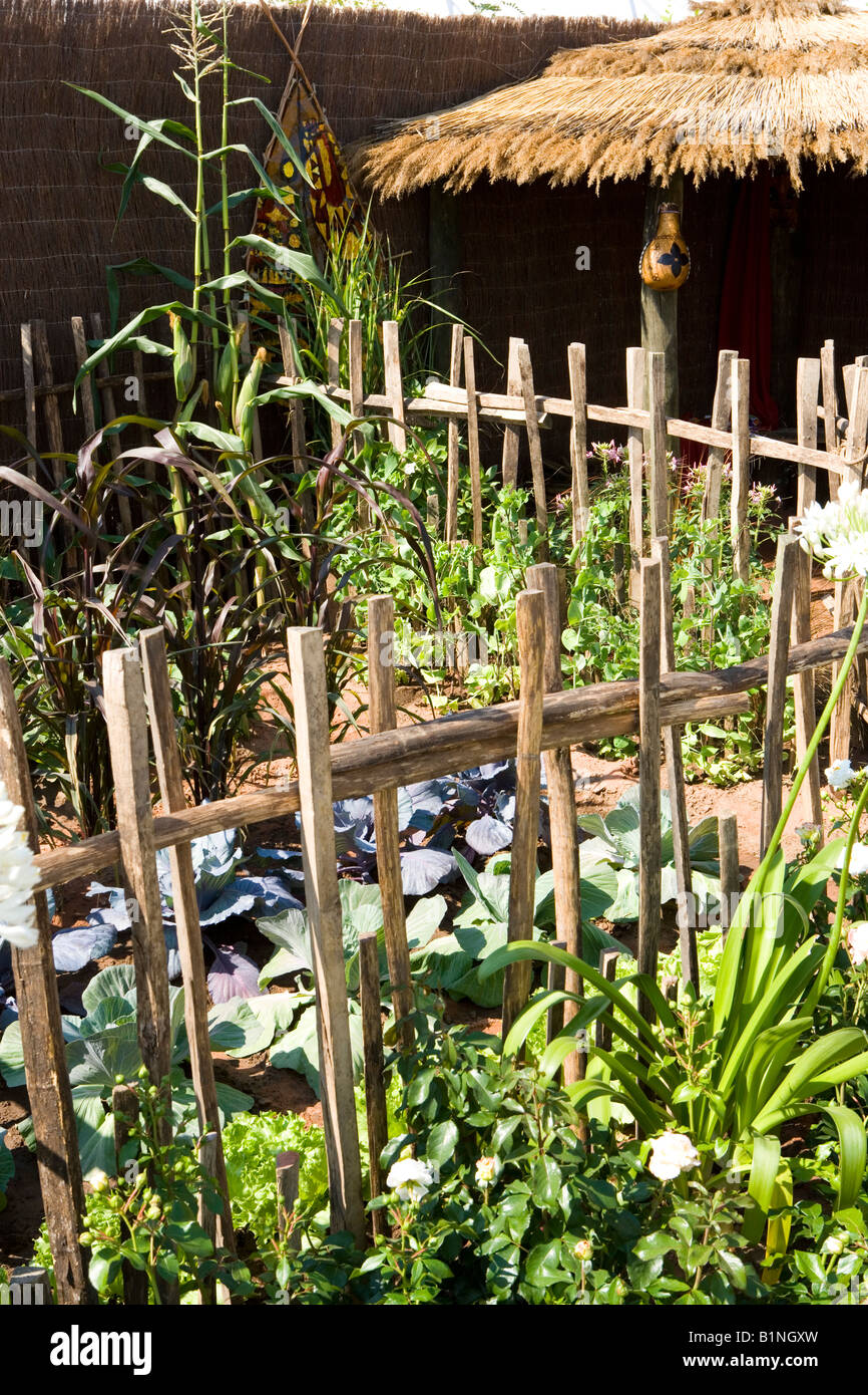 wooden picket fence around a vegetable plot Stock Photo - Alamy