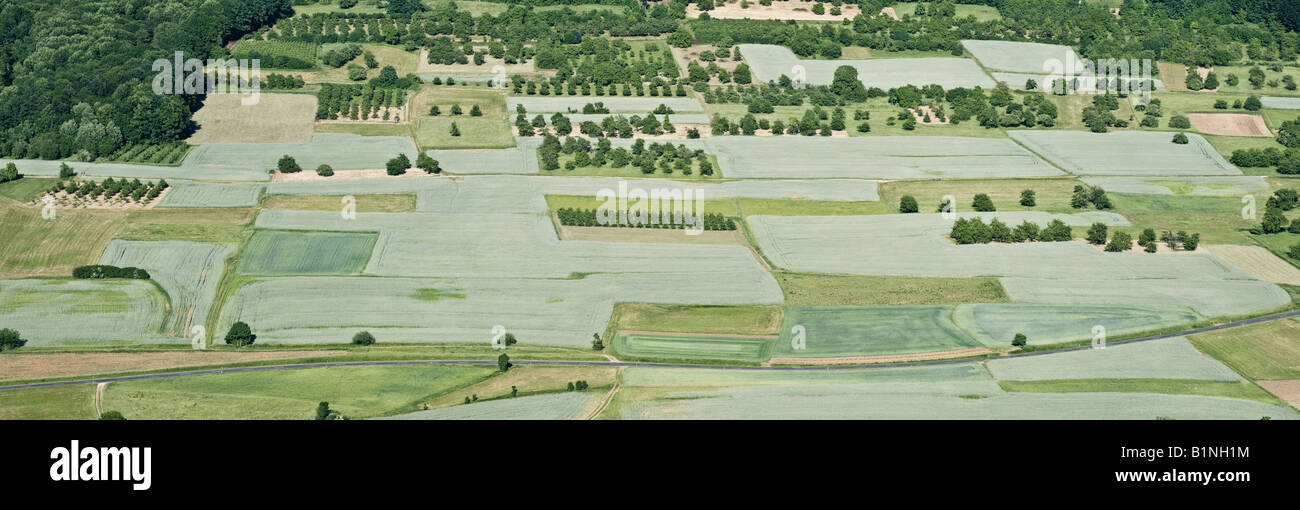 Barley fields in switzerland hi-res stock photography and images - Alamy