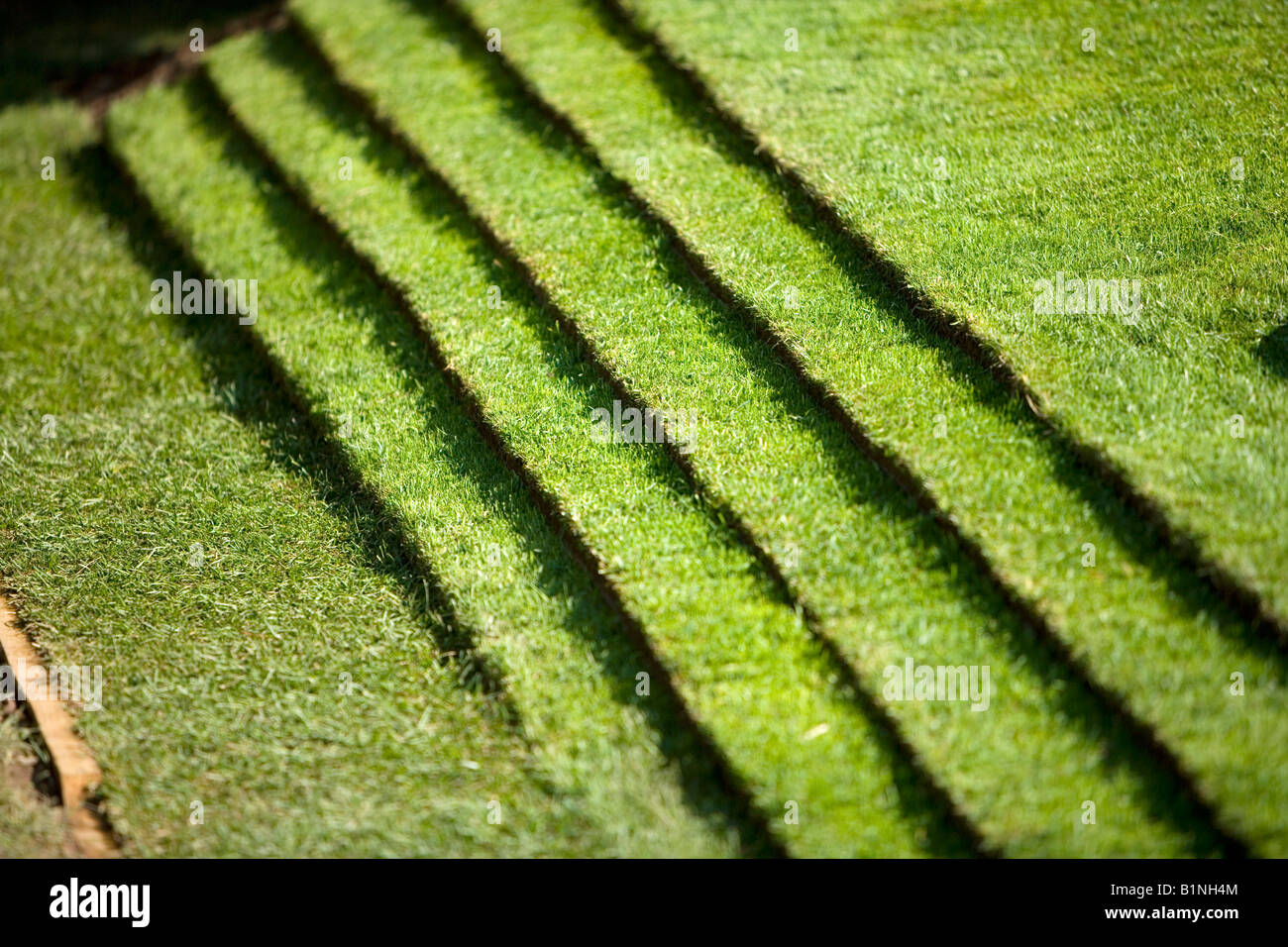 steps in a grass lawn Stock Photo - Alamy