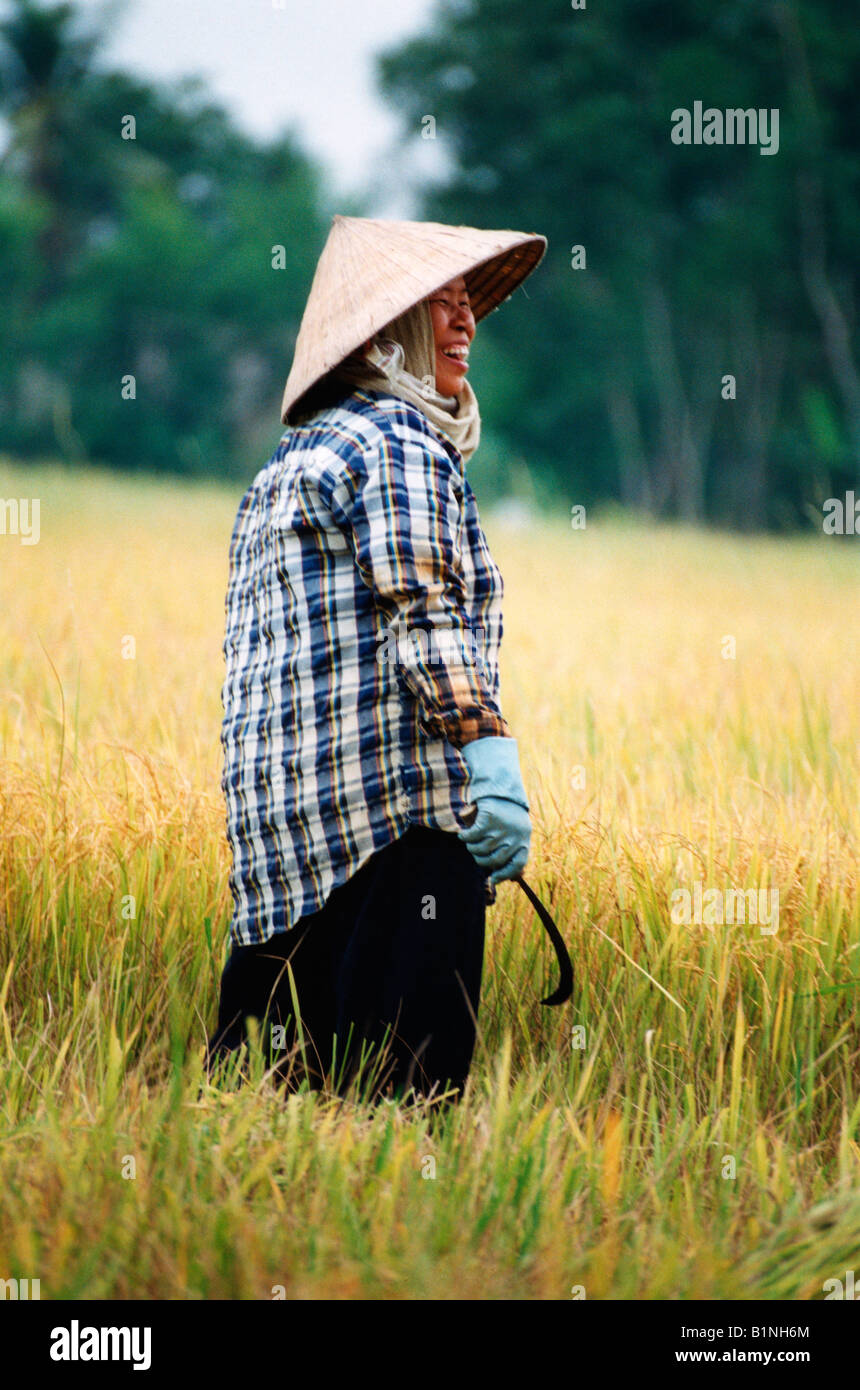 Vietnam Mekong Delta Woman Smiling Farming Rice Paddy Stock Photo - Alamy