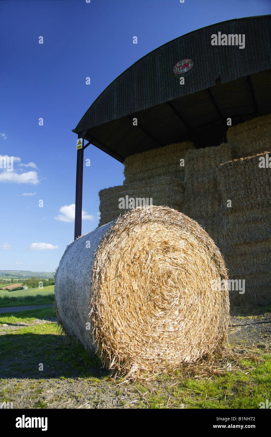 Traditional haymaking hi-res stock photography and images - Alamy
