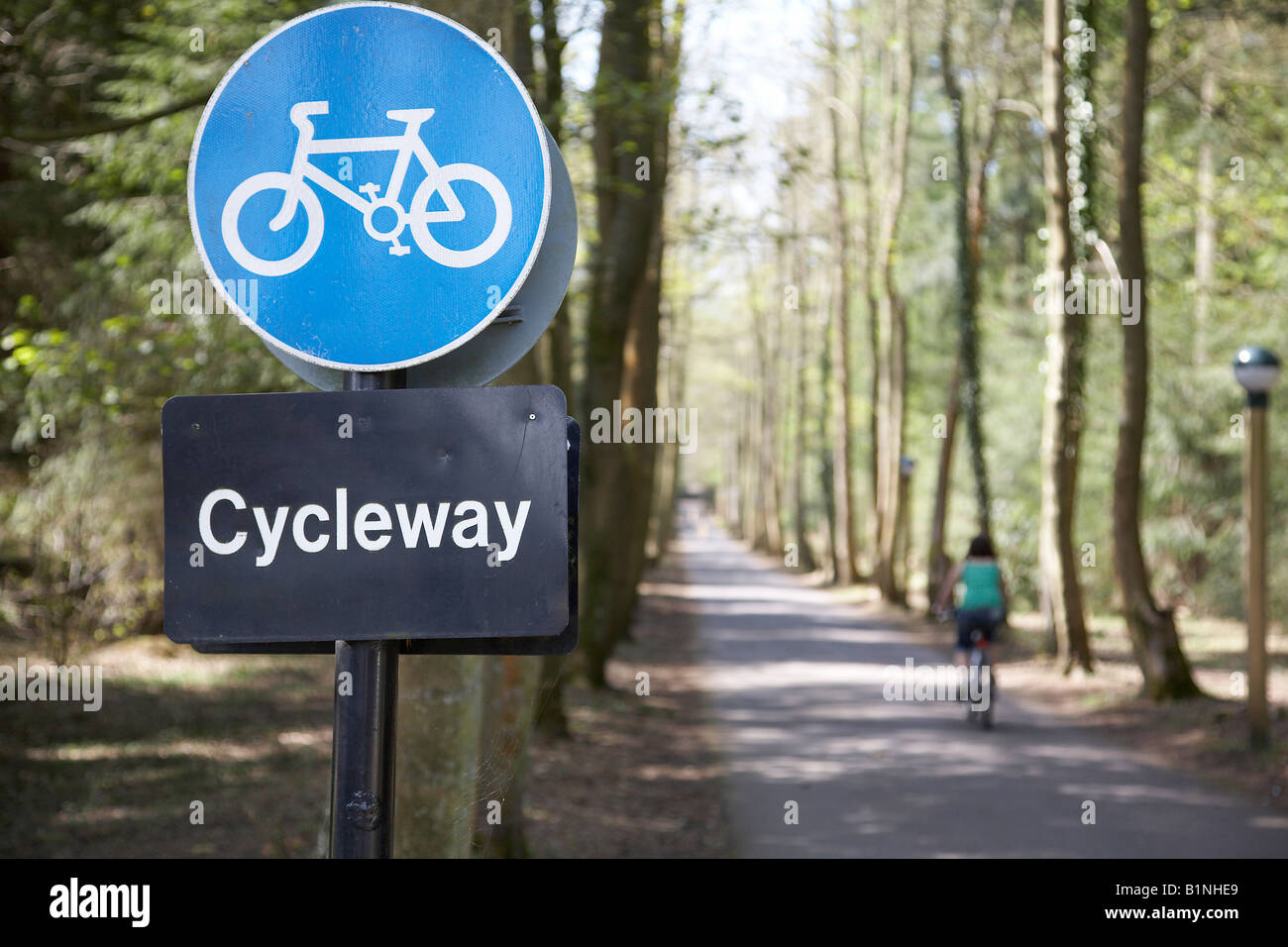 Cyclelway path at center parcs Stock Photo - Alamy