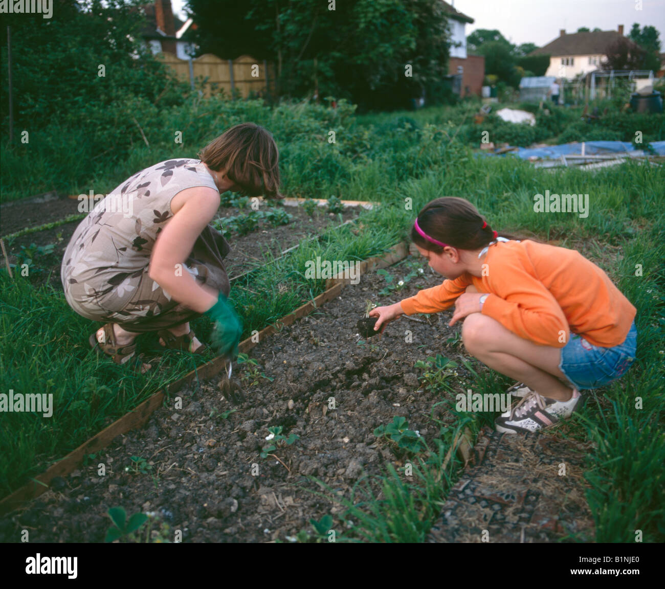 Eleven Year Old Girl and Mother dig at allotment in London suburb UK ...
