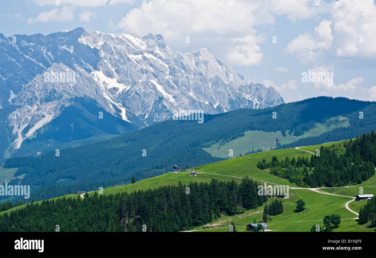 Green alpine hillside of Dientner Berge and distant peak of Hochkönig ...