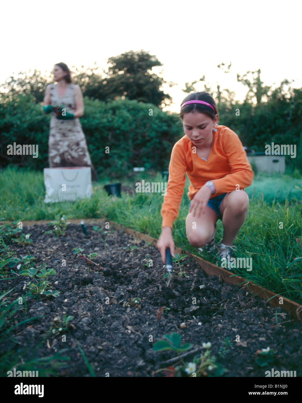 Eleven Year Old Girl and Mother dig at allotment in London suburb UK ...