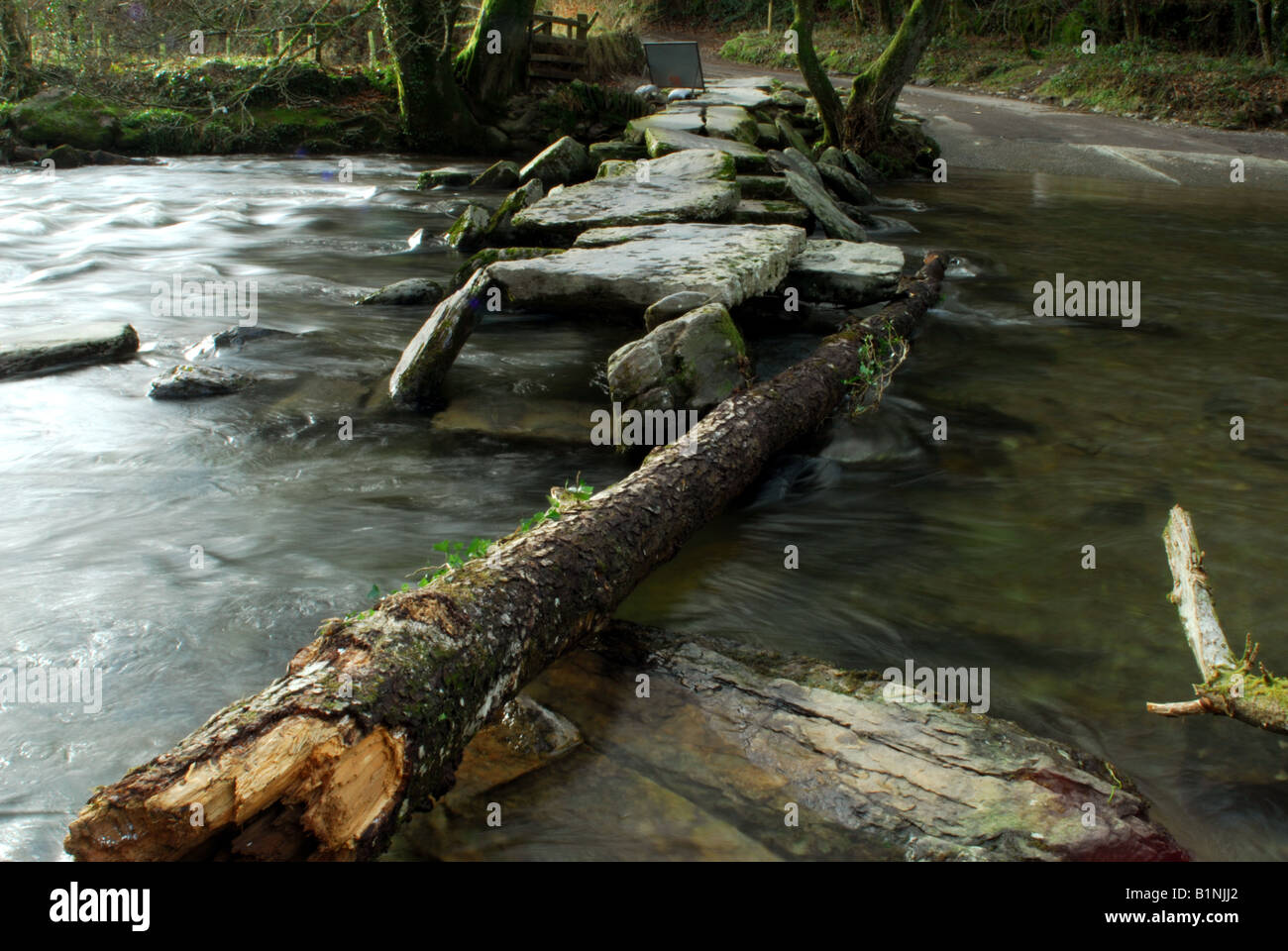 the famous clapper bridge at Tarr Steps crosses the river Barle on ...