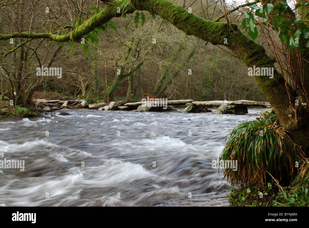 the famous clapper bridge at Tarr Steps crosses the river Barle on ...