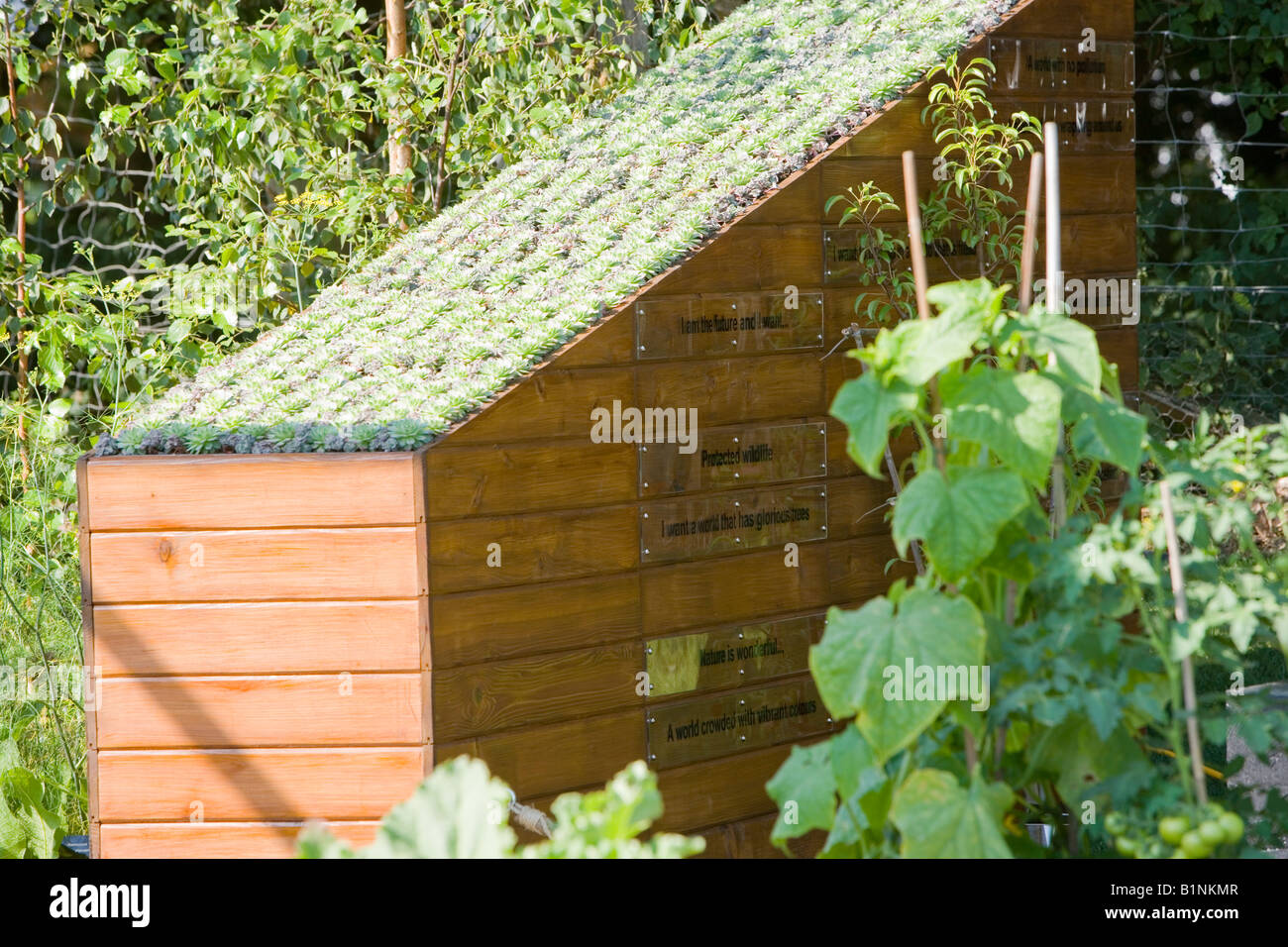 wooden garden feature with sempervivums growing on the roof Stock Photo ...