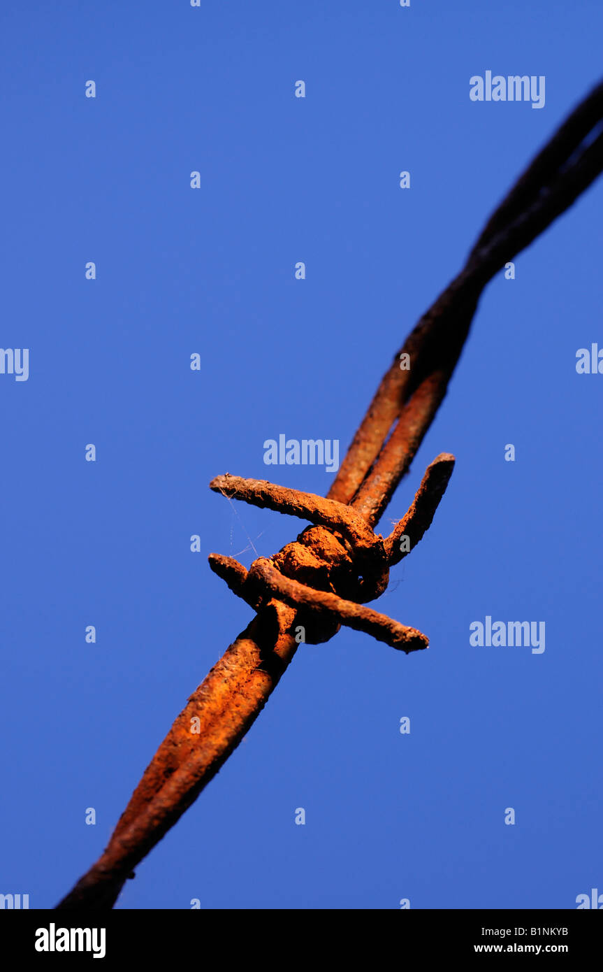 Barbed wire sharp close up barb wire metal hi-res stock photography and ...