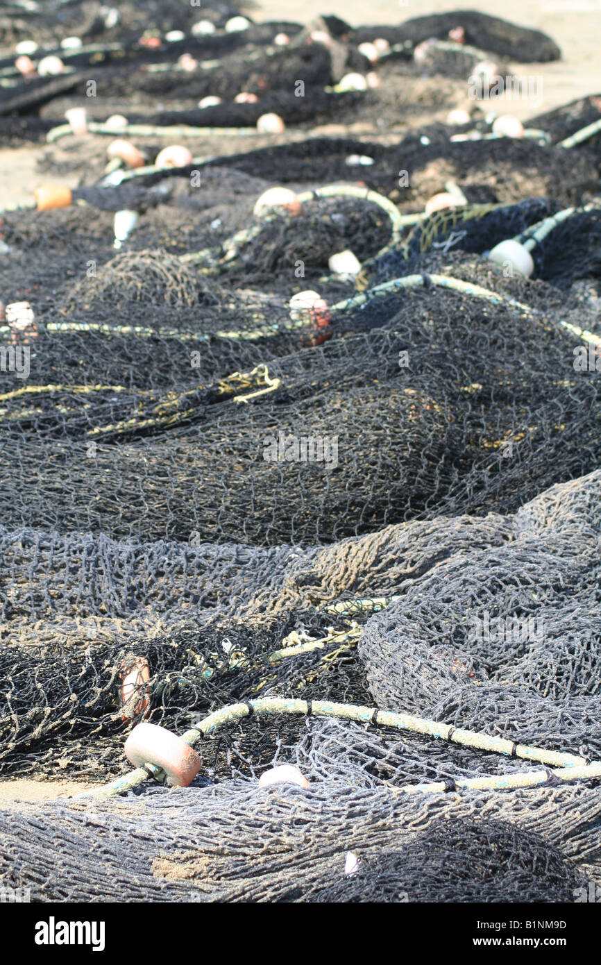 Fishing net and fish on the beach Stock Photo - Alamy