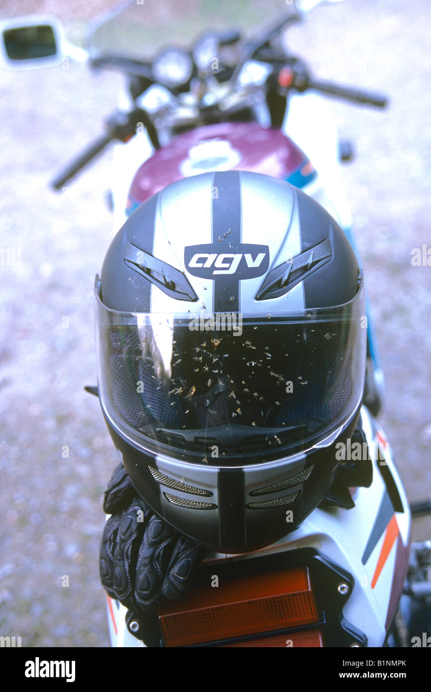 Fly Splattered Visor on Motorcycle Helmet Stock Photo - Alamy
